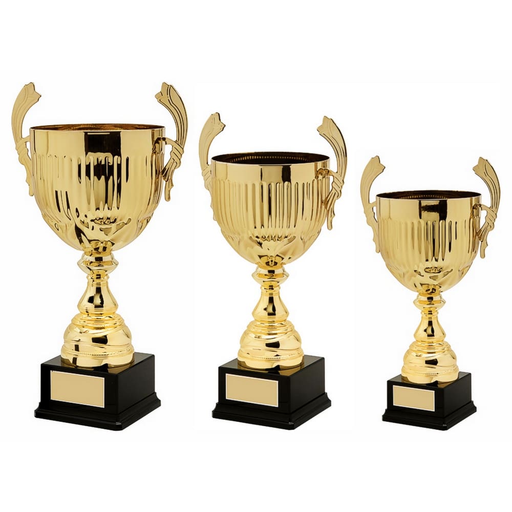 Gold Presentation Cup With Handles - RB Trophies & Engraving